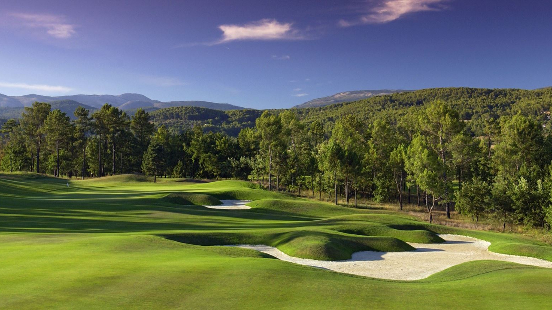 Hammond International Properties